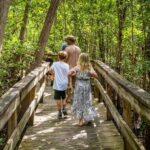 Everglades: Mangrove, Grassland Airboat Tours, & Boardwalk - The Guides and Wildlife Viewing