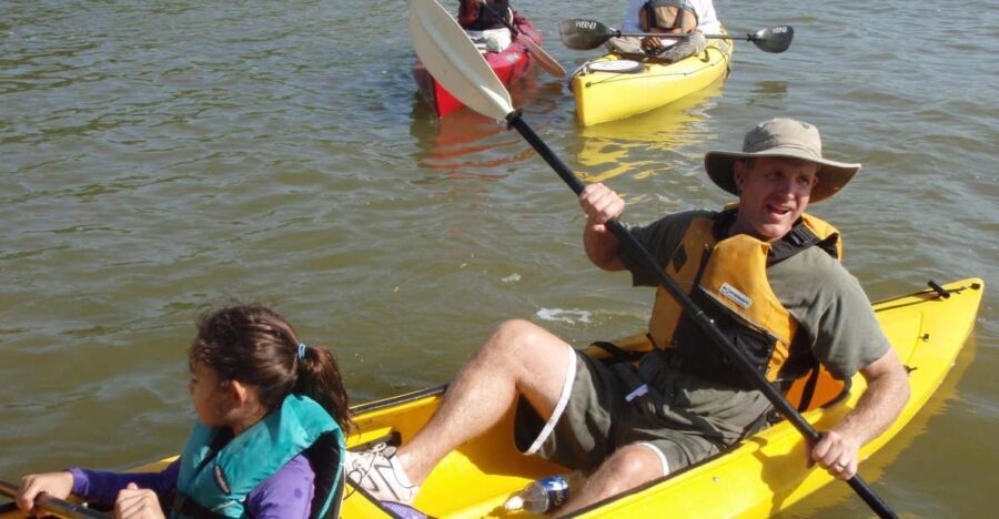 Everglades National Park 3-Hour Kayak Eco Tour - What the Experience Looks Like