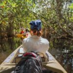 Everglades National Park: Mangrove Tunnel Kayak Eco-Tour - Exploring the Experience