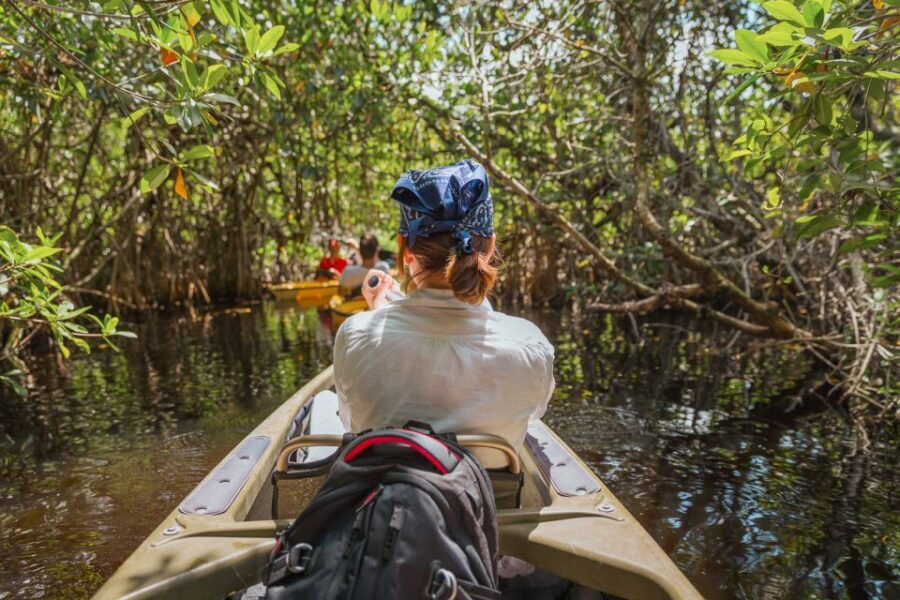 Everglades National Park: Mangrove Tunnel Kayak Eco-Tour - Exploring the Experience