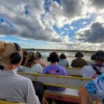 Everglades National Park Naturalist Led Hike, 2 Boat Trips + More - The Value and Who Will Love It