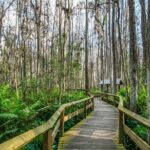 Everglades National Park Self Guided Driving Audio Tour - Practical Considerations and User Experience