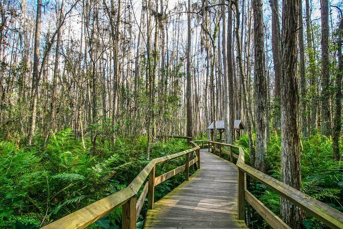 Everglades National Park Self Guided Driving Audio Tour - Practical Considerations and User Experience