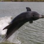 Everglades National Park Small Group Guided Boating and Walking Expedition - What Could Be a Drawback