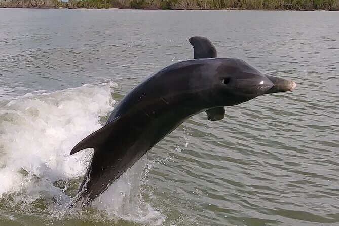 Everglades National Park Small Group Guided Boating and Walking Expedition - What Could Be a Drawback