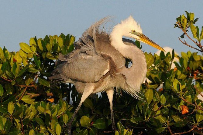 Everglades National Park Small Group Guided Boating & Walking Tour Expedition - Analyzing the Price and Value