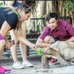 Everglades: Sawgrass Park Reptile Exhibit Private Tour - Who This Tour Is Best For
