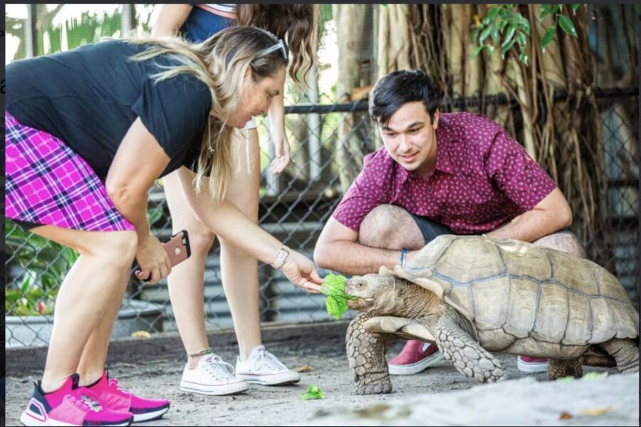 Everglades: Sawgrass Park Reptile Exhibit Private Tour - Who This Tour Is Best For