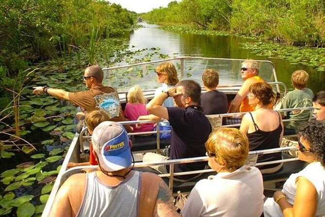 Everglades Tour in Miami - Wildlife Viewing and Small Animal Show