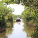Everglades Tour with professional Tourguide inclusive pickup - Key Points at a Glance