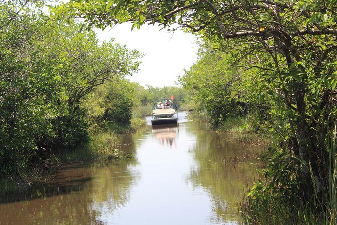 Everglades Tour with professional Tourguide inclusive pickup - Key Points at a Glance