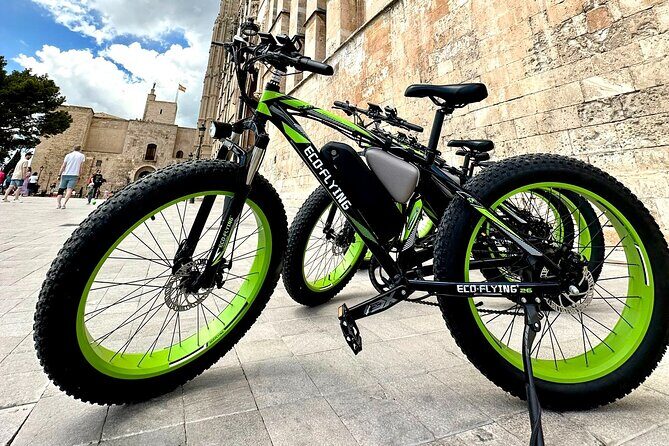 Exclusive Fat Tire E-Bike Tour in Palma - Accessibility and Physical Fitness