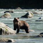 Exclusive Photography Tour to Haines - Skagway Departure - The Real Value of This Tour