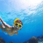 Exclusive Snorkeling Trip Guided by Marine Biology Specialist - Why This Snorkeling Tour Stands Out