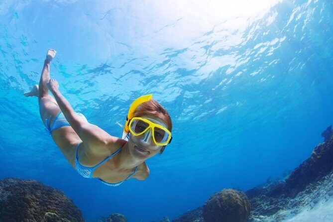 Exclusive Snorkeling Trip Guided by Marine Biology Specialist - Why This Snorkeling Tour Stands Out