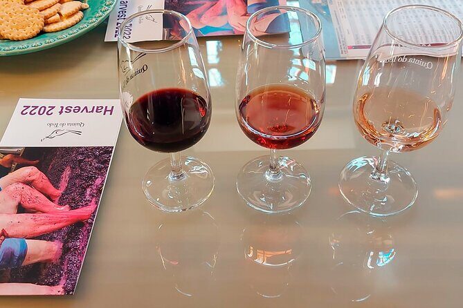 Exclusive Tour Porto-Douro Valley-Wine Tasting/Lunch/Boat Tour - Authenticity and Reviews from Past Travelers
