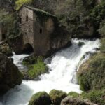 Excursion circus of Navacelles from Montpellier - Authentic Guest Feedback