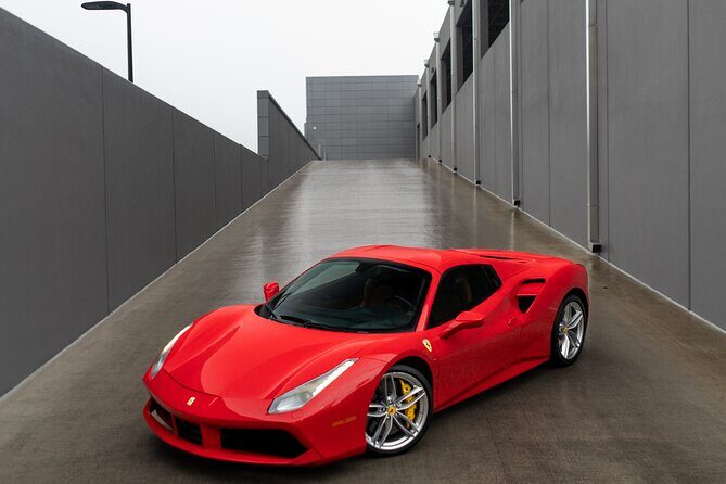 Exotic Car rental in Orlando - What to Expect from the Rest of the Day