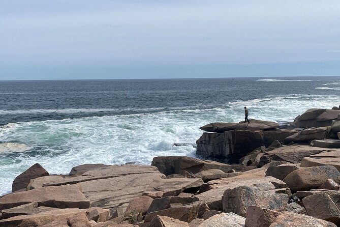 Experience Acadia: Private 3-hr tour with local guide. - Who Will Love This Tour?