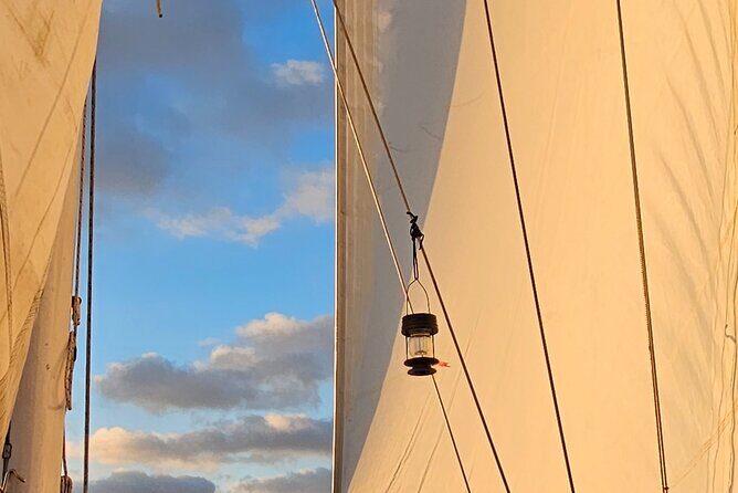 Experience Oceanside Sailing with Whales and dolphins! - The Route and Experience