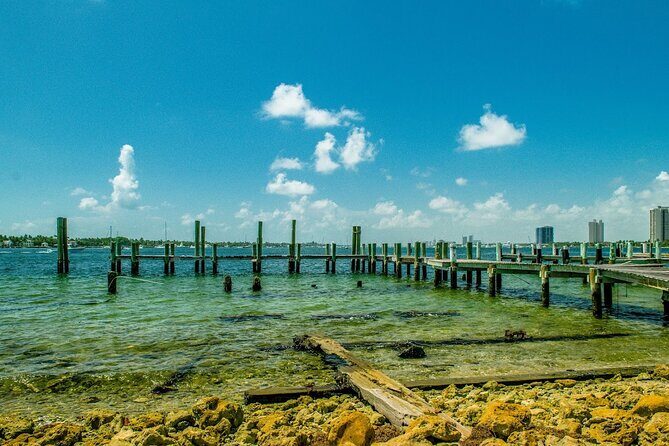 Experience Peanut Island Adventures - Meeting Points and Logistics