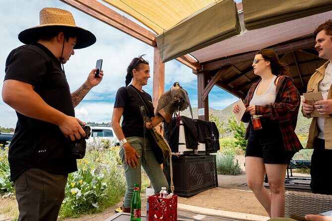 Experience Raptors and Falconry in Reno - The Sum Up