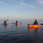 Explore Mangrove Creeks with an All Day SUP/single kayak Rental - The Value of a Day on the Water