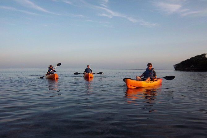 Explore Mangrove Creeks with an All Day SUP/single kayak Rental - The Value of a Day on the Water