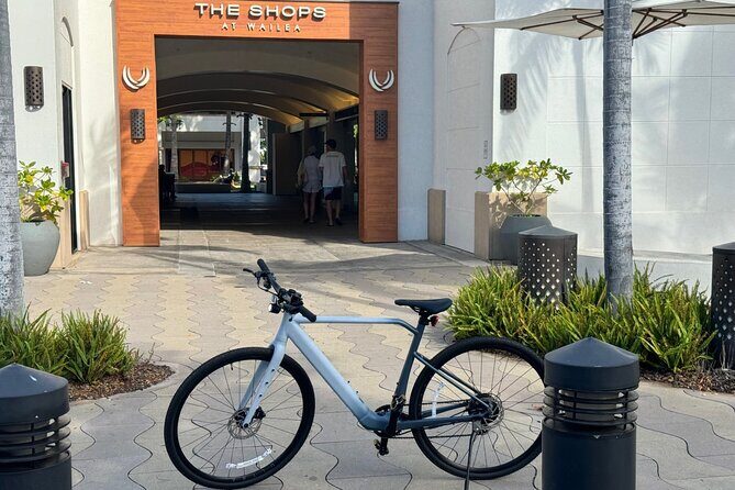 Explore Maui on an electric bike or scooter - Who Should Consider This Tour?