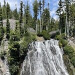 Explore Mt. Rainier National Park with a Local Guide - Who Will Love This Tour?