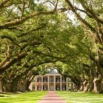 Explore Oak Alley Plantation Guided Tour with Transportation - Who Should Consider This Tour?