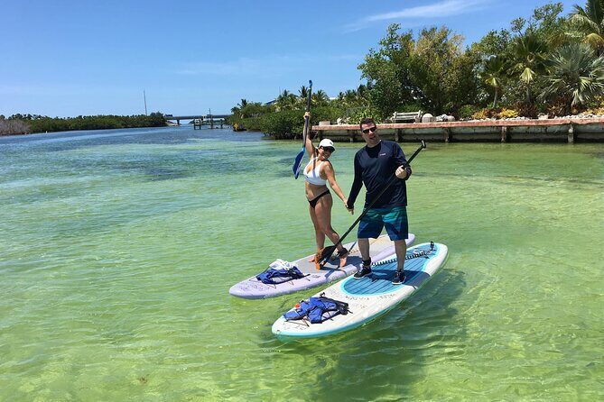 Explore the Mangrove Creeks with an ALL Day Tandem Kayak Rental - Equipment and Facilities