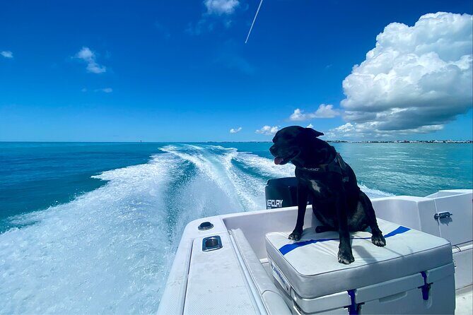 Explore the Waters of Key West - Itinerary Breakdown: What to Expect