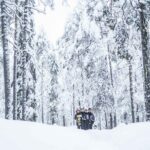 Explore the Wilderness - The Itinerary in Detail