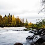 Explore the Wilderness (Summer & Autumn) - What Makes This Tour Stand Out?