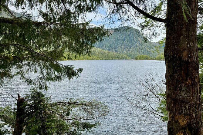 Explore Tongass National Forest on Connell Lake Trail Hike - What to Expect on the Trail