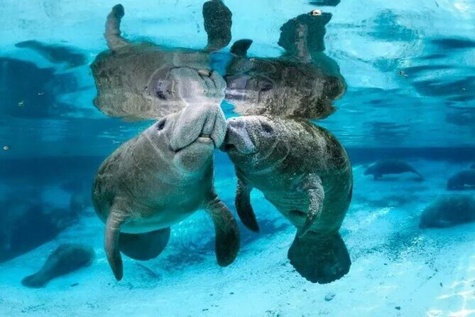 Explore Wildlife Sanctuaries on the WILD Palm Beaches Tour - FAQ