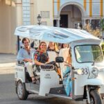 Express Tour of Seville in Private Eco Tuk Tuk - What Makes This Tour Stand Out?