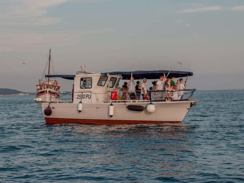 Faana: Dolphin & Sunset - The Authenticity of the Experience