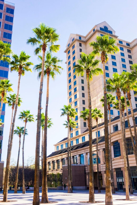 Fabulous City walking tour of San Jose - Practicalities and Value