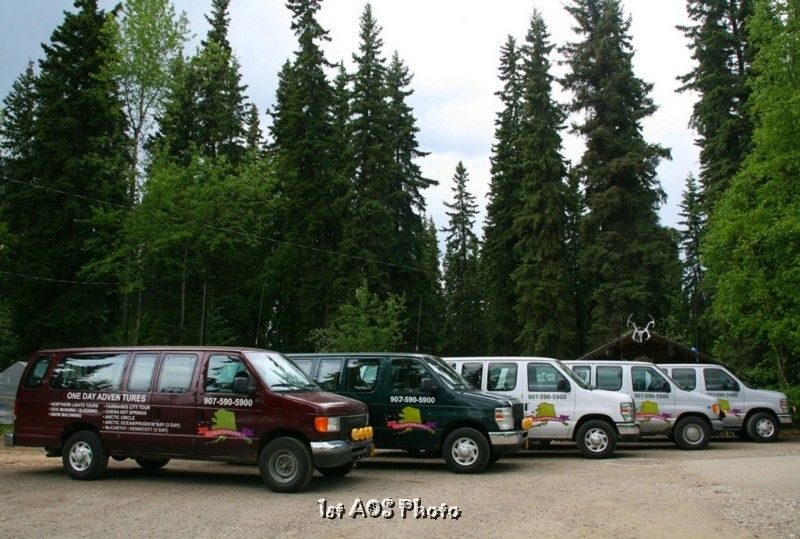Fairbanks  Denali Shuttle Service - A Deep Dive into the Experience