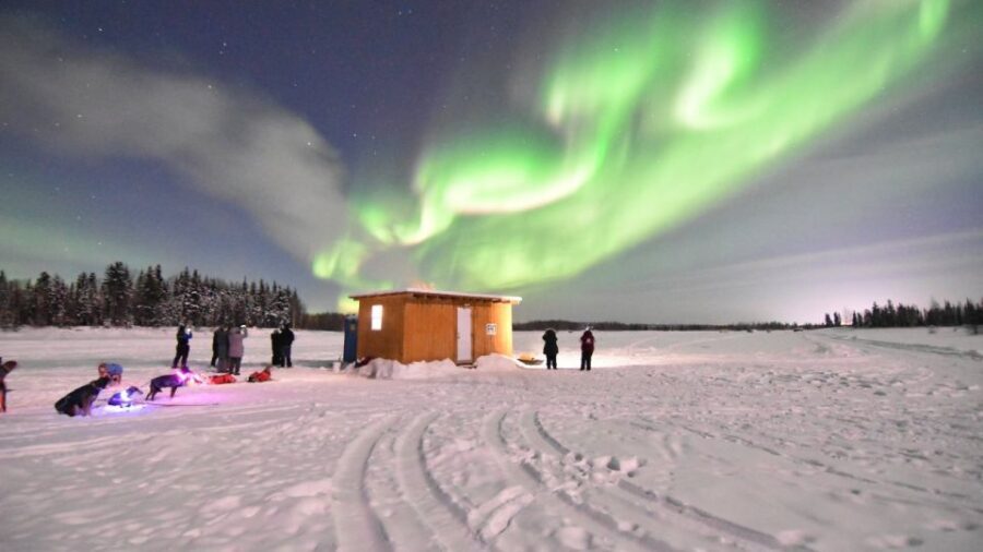Fairbanks: Dog Sledding and Mushing Experience - Authentic Experiences Shared by Visitors