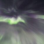 Fairbanks: Moonlight Dog Sled, Dinner & Northern Lights - The Value of the Tour