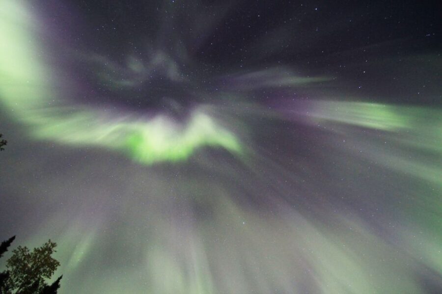 Fairbanks: Moonlight Dog Sled, Dinner & Northern Lights - The Value of the Tour