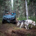 Fairbanks: Summer Mushing Cart Ride and Kennel Tour - Who This Tour Is Perfect For