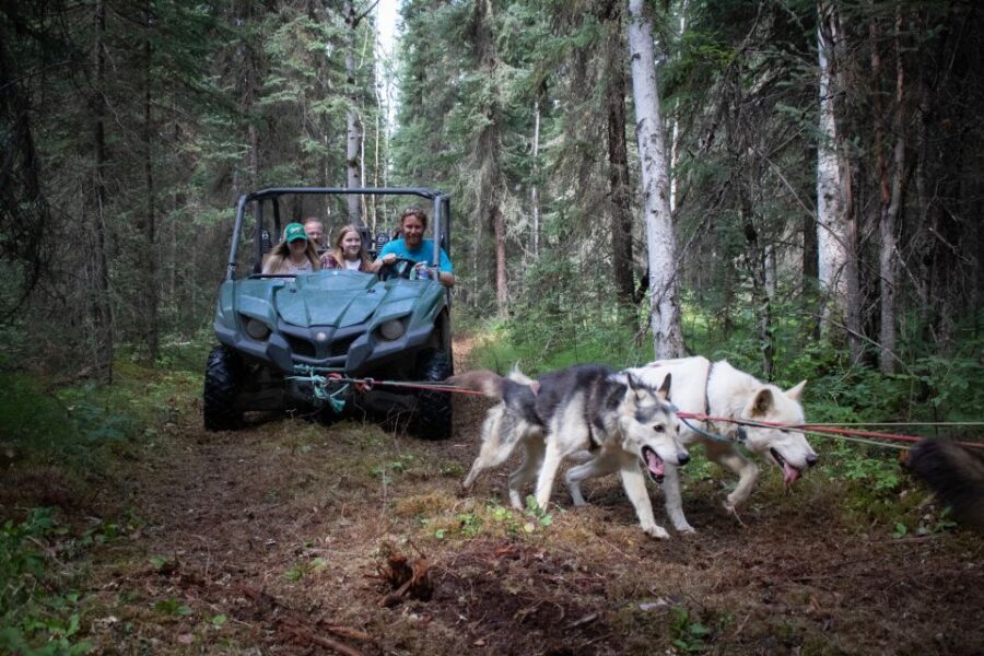 Fairbanks: Summer Mushing Cart Ride and Kennel Tour - Who This Tour Is Perfect For