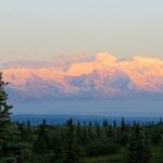 Fairbanks to Denali Shuttle Service - The Thorough Breakdown: Itinerary and Details