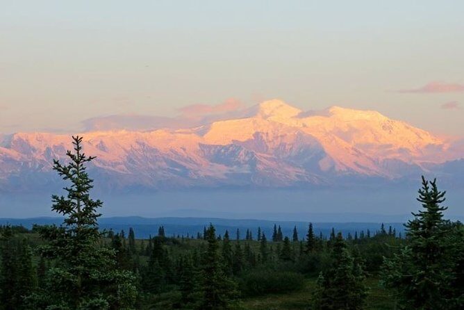 Fairbanks to Denali Shuttle Service - The Thorough Breakdown: Itinerary and Details