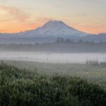 Faithful Hands Farm Tour - Practical Details and Value