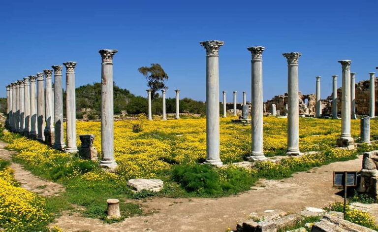 Famagusta & Salamis with a Polish-speaking Guide - Practical Considerations and Tips